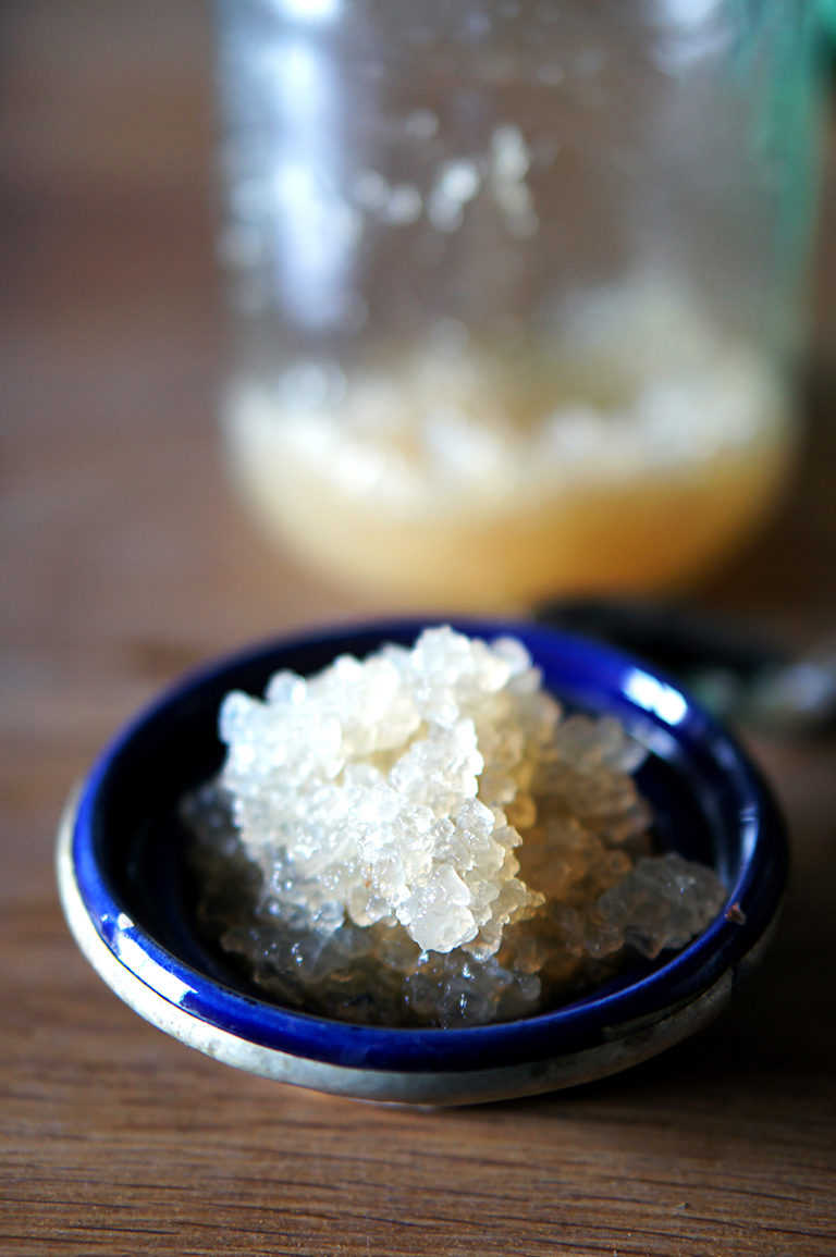Le KÉFIR, C'EST QUOI ? - Le Coconut Blog - Levain | Fermentation | Fait ...